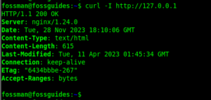 How To Install NGINX in Debian and Ubuntu – FOSSGuides