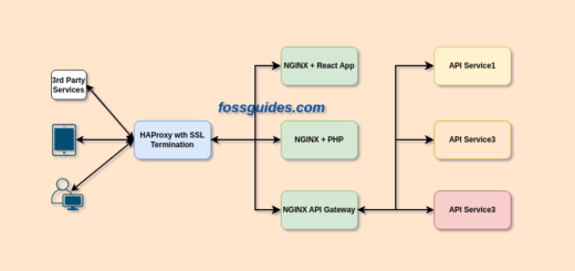 Why I Use NGINX with HAProxy in Production – FOSSGuides